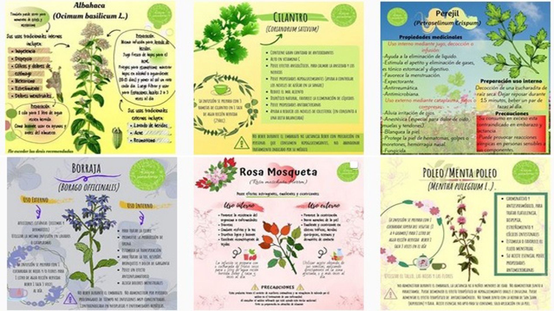 Universidad de Valparaíso - Estudiantes de Enfermería promueven uso de ...